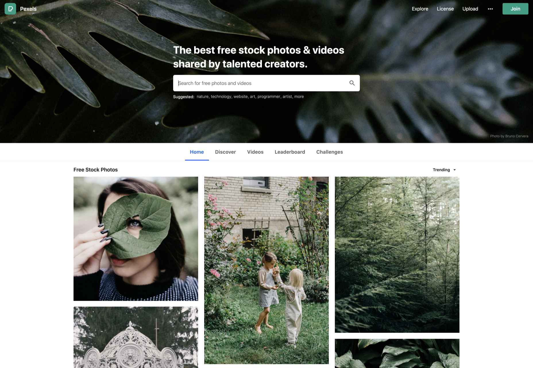 15 Best Free Stock Image Websites | EASEOUT 15 Best Free Stock Image Websites | EASEOUT